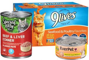 Cat Food Recall | Safe Pet Treats